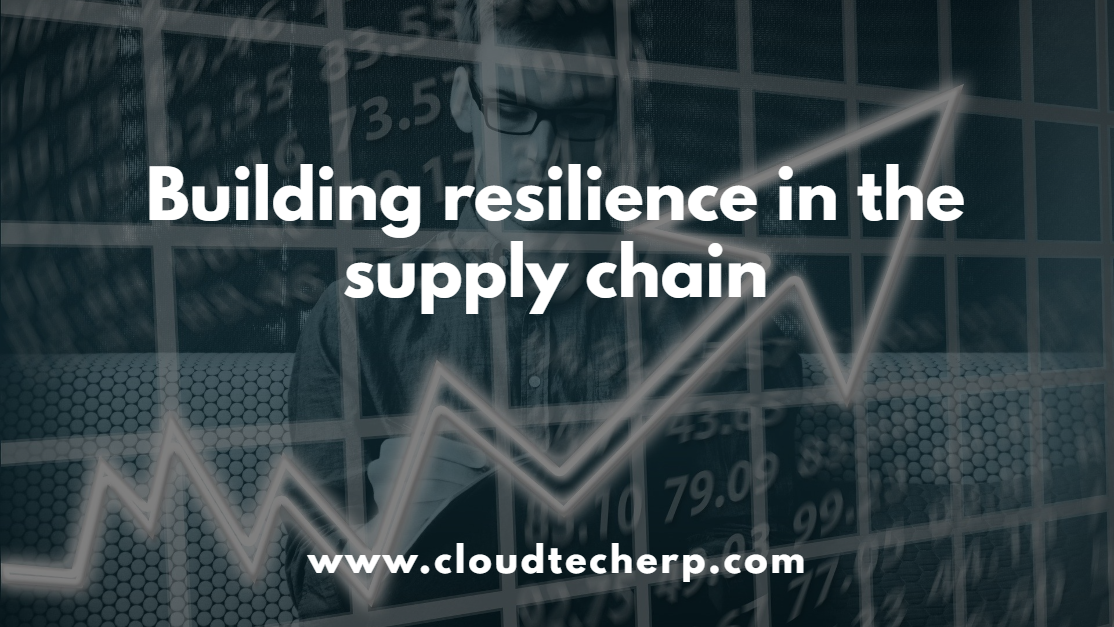 Building Resilience in the Supply Chain | Cloudtech ERP