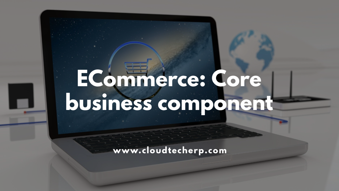 ECommerce: Core Business Component | CloudTechERP